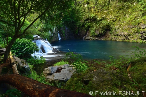 Parc Naturel National de La Réunion - Blog de Biosphère Nature