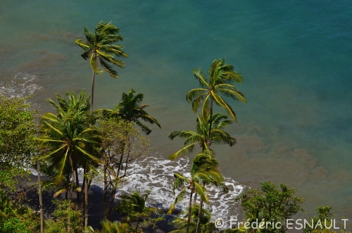Parc Naturel Régional de La Martinique - Blog de Biosphère Nature